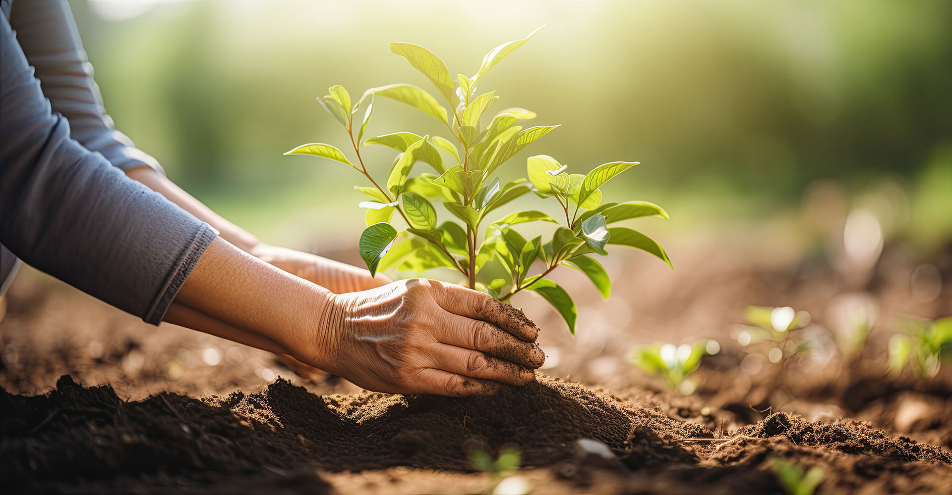 The Pack Forest® Environmental Fund Activities Report (March-April 202 ...