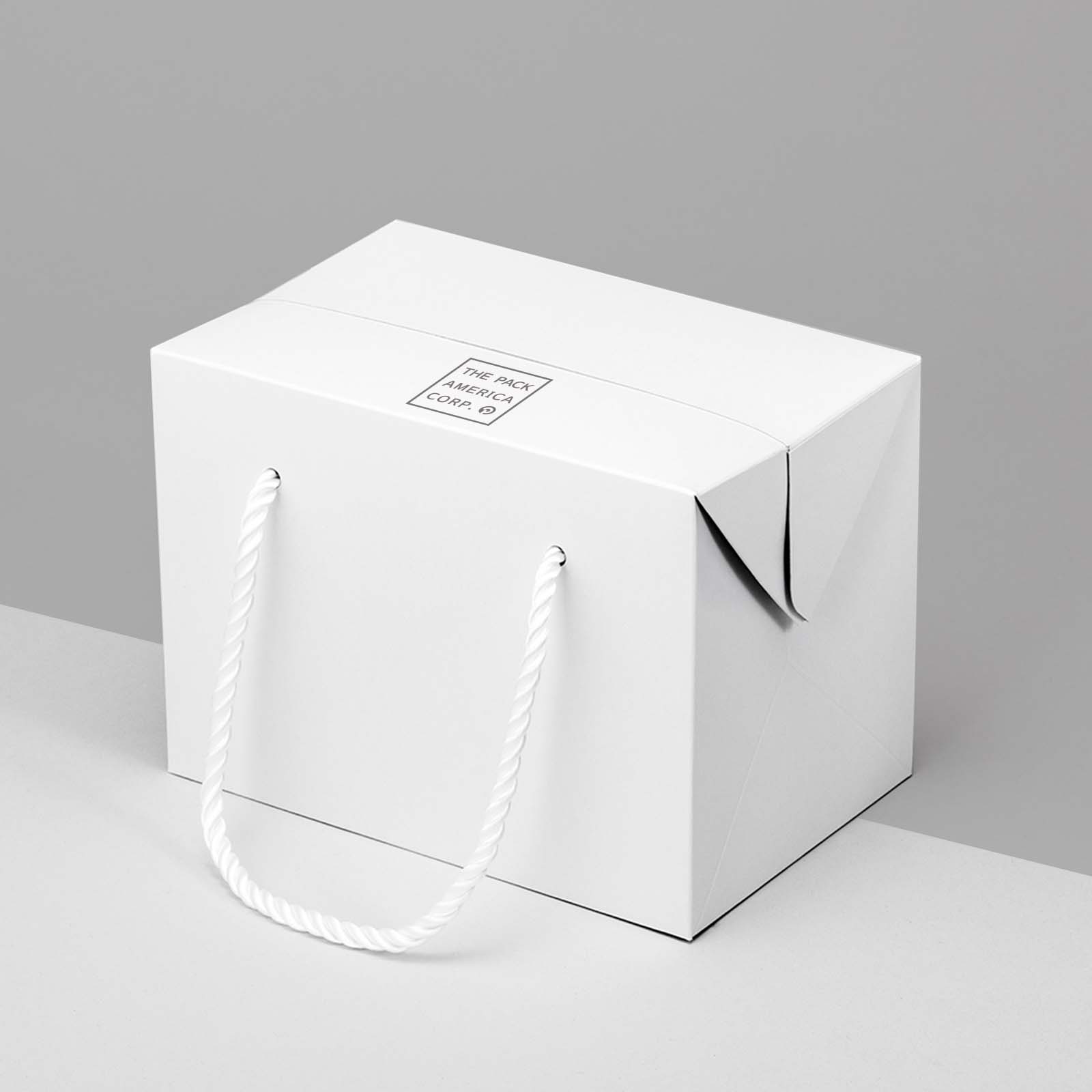 Box Style Paper Bag - Custom Size and Design | The Pack America Corp.